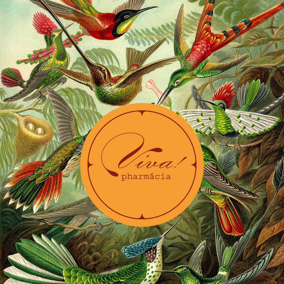 Criação da linha Beija-Flor - Adesign